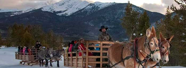 Featured Resort: Summit Peaks Lodge